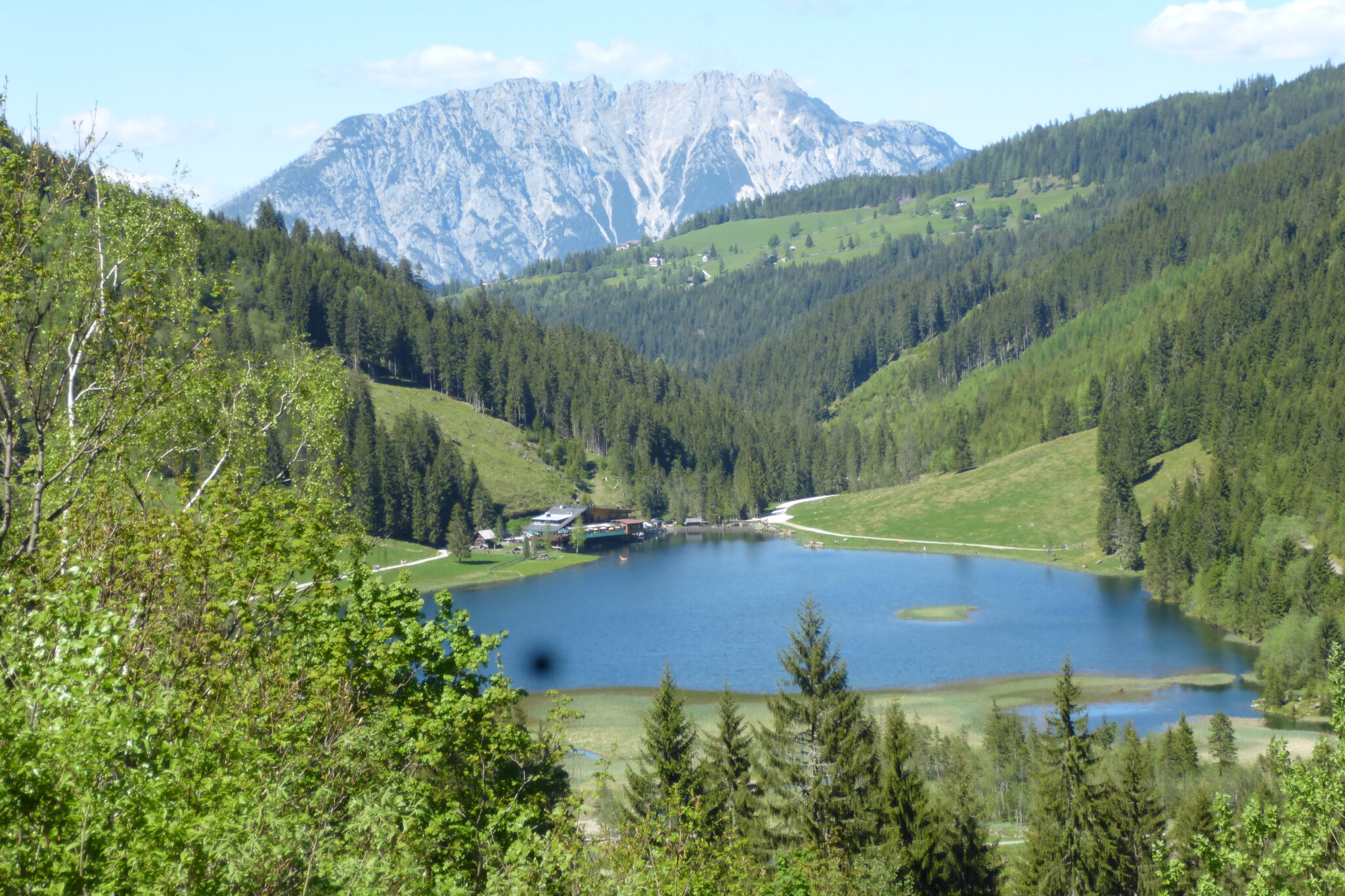 Mitglieder - Chi-Verde-Cha